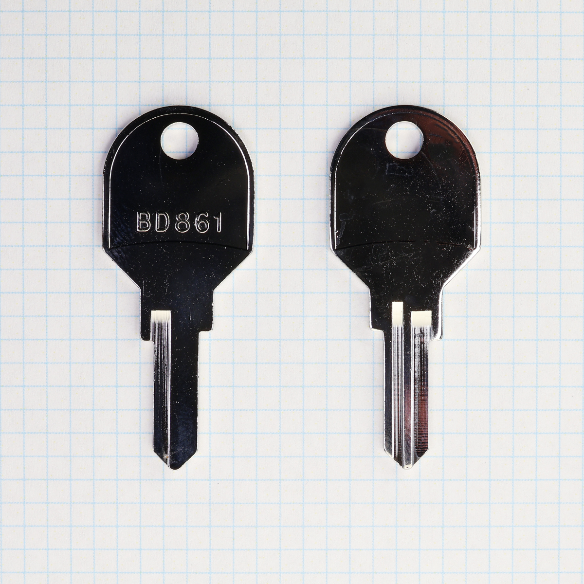 BD861 – Blue Dog Keys