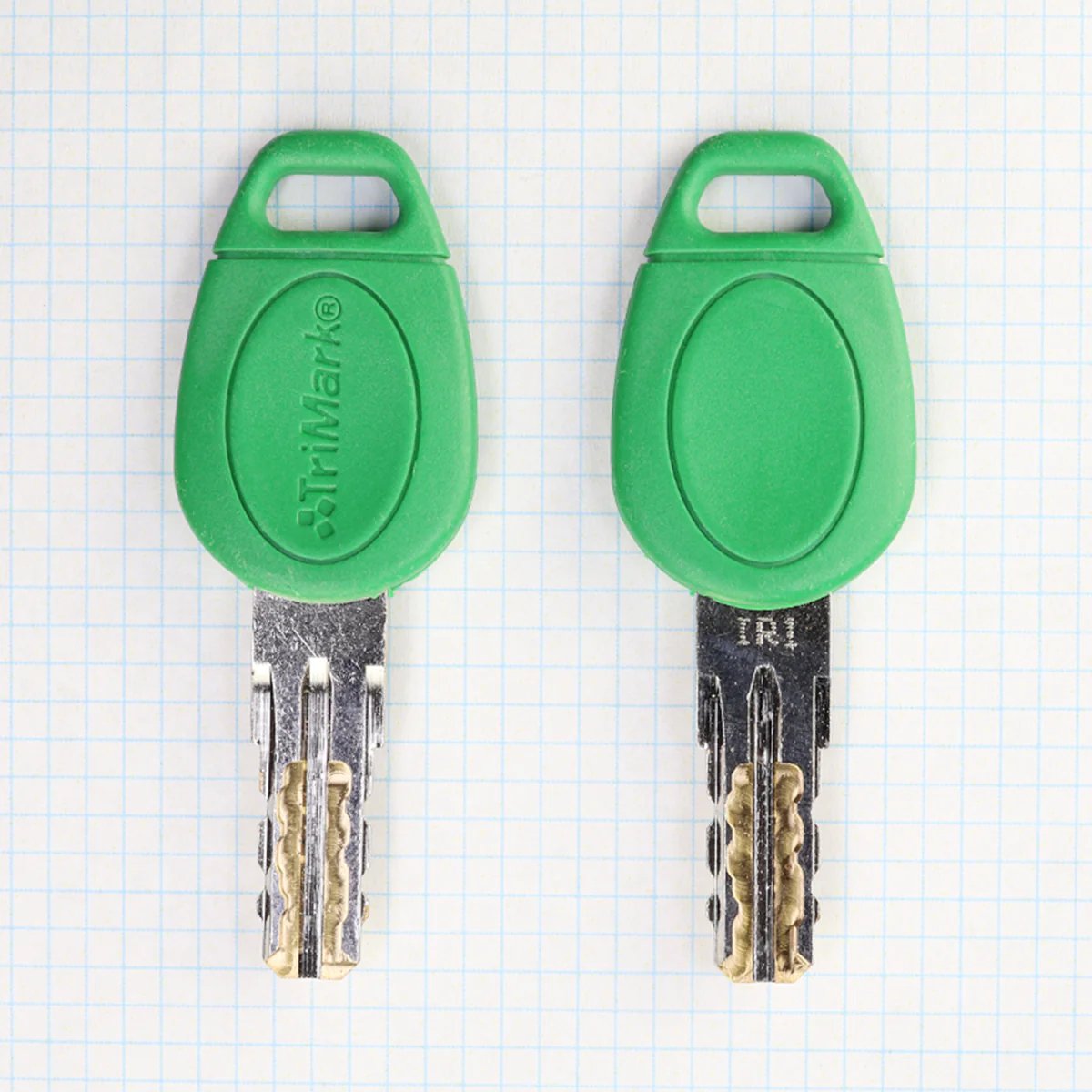 New Addition – Blue Dog Keys