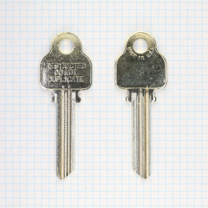 Restricted – Blue Dog Keys