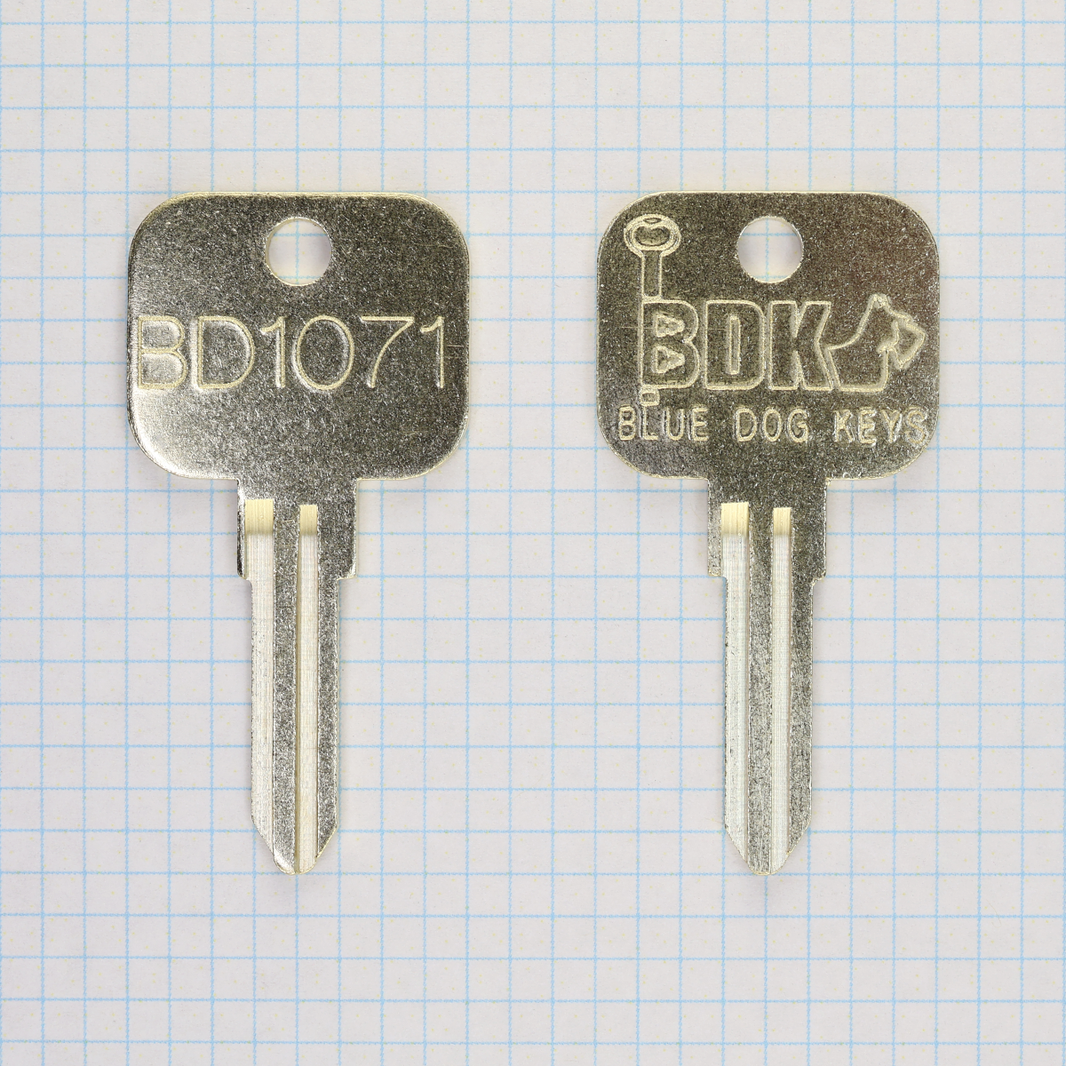 New Addition – Blue Dog Keys