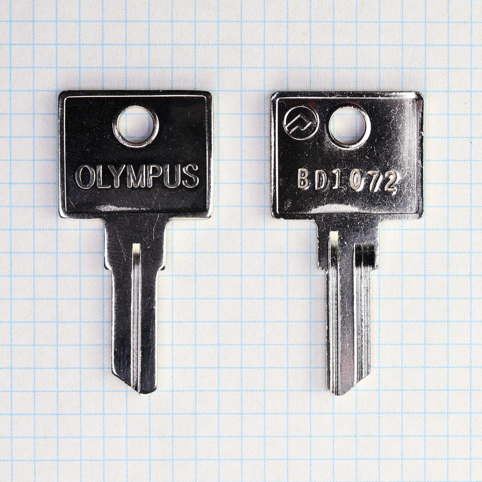 New Addition – Blue Dog Keys