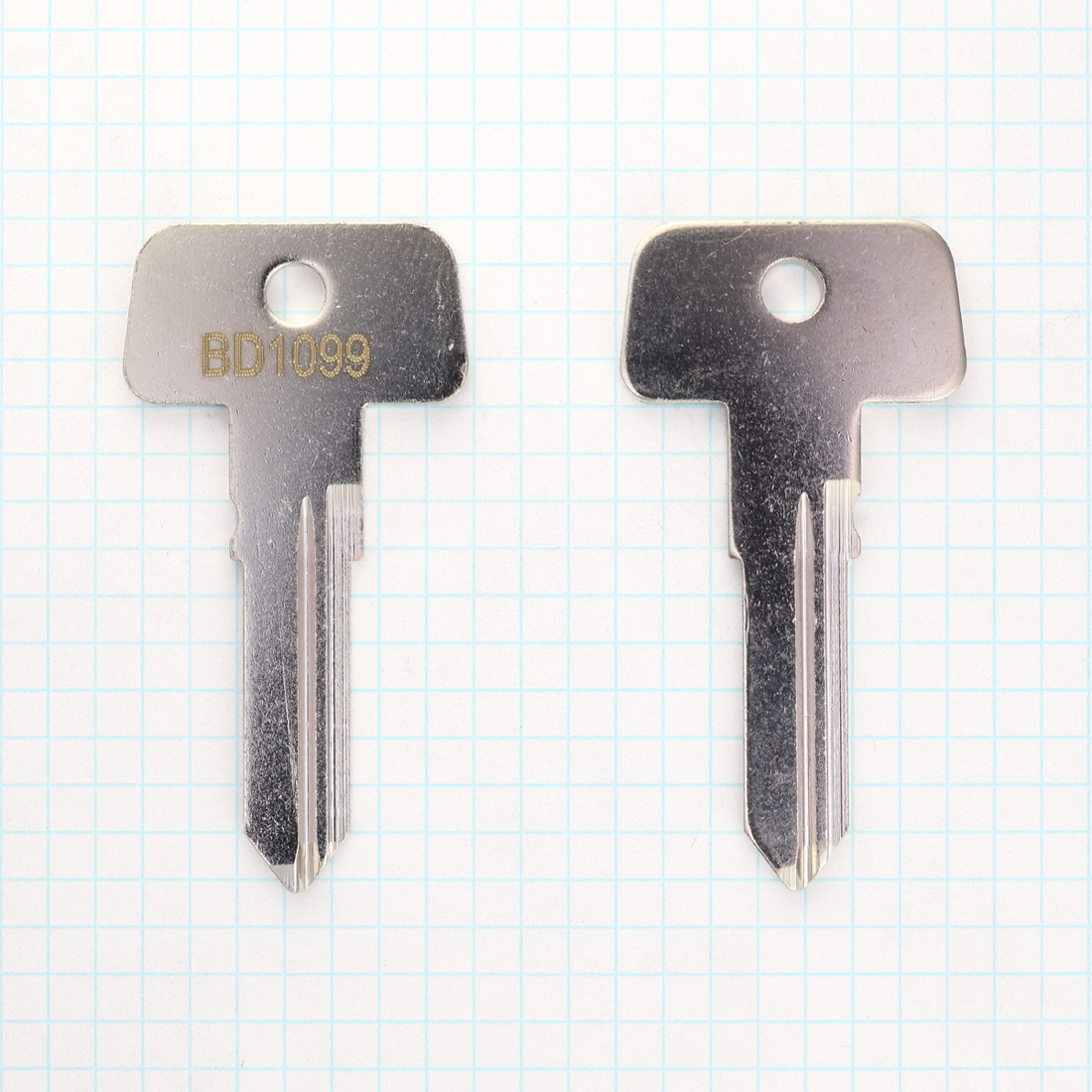 BD1099 – Blue Dog Keys
