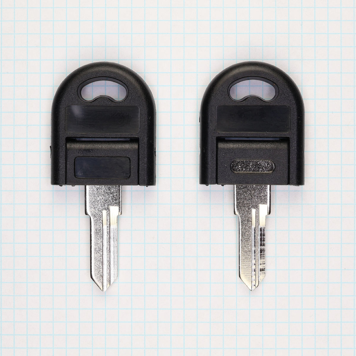 BD1117 – Blue Dog Keys