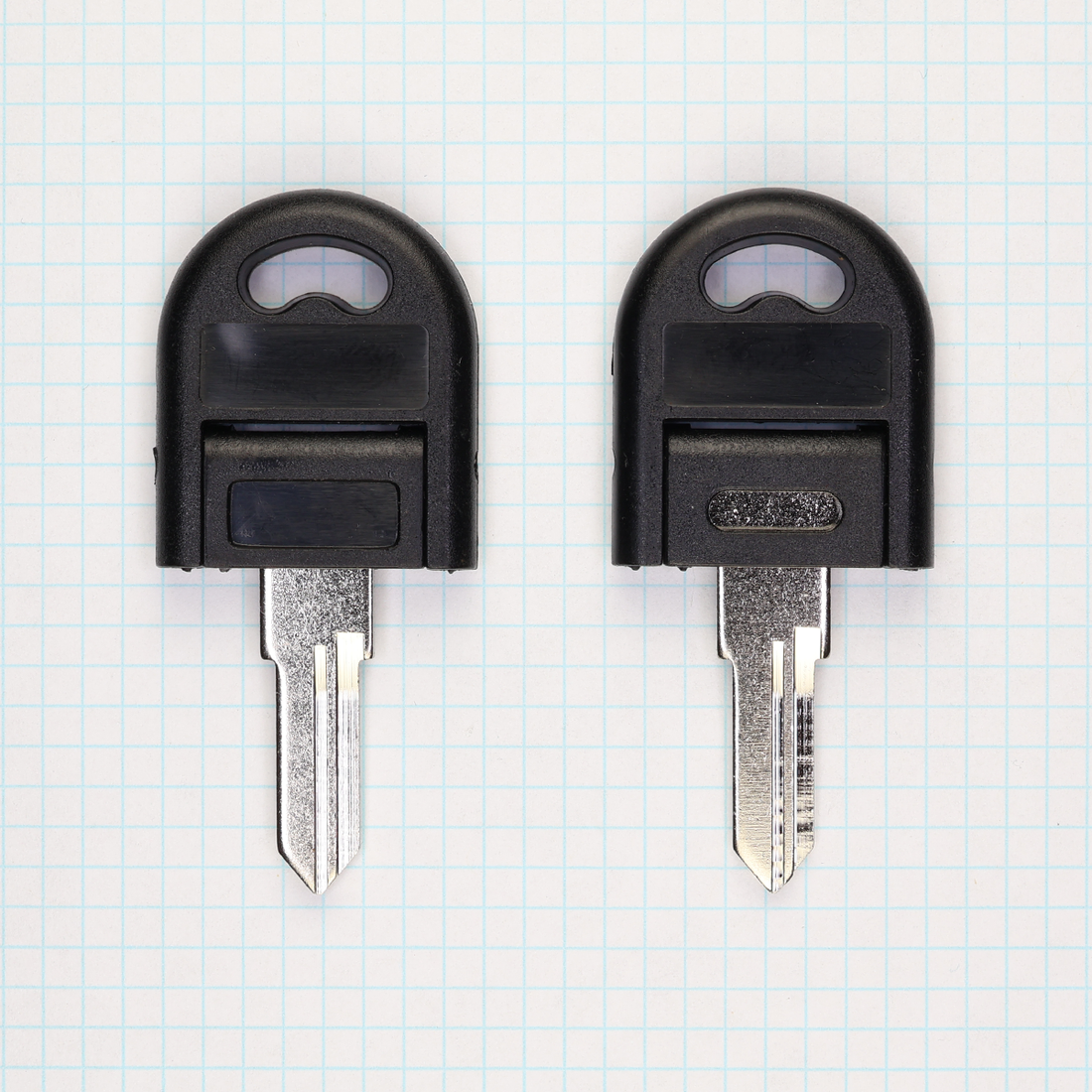 BD1117 – Blue Dog Keys