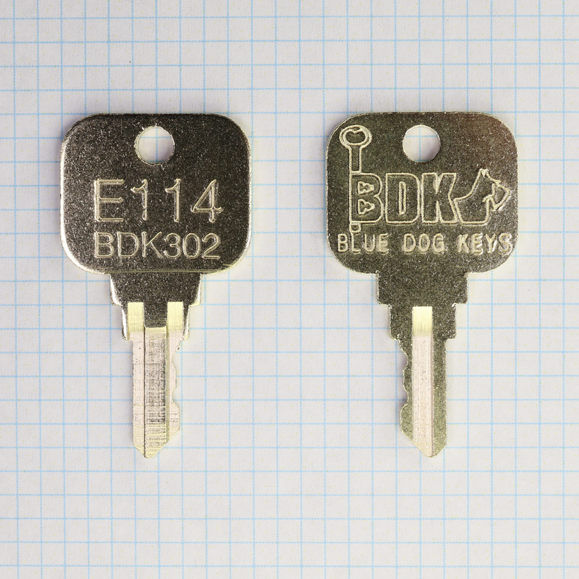 BD302 E114 BDK302 – Blue Dog Keys