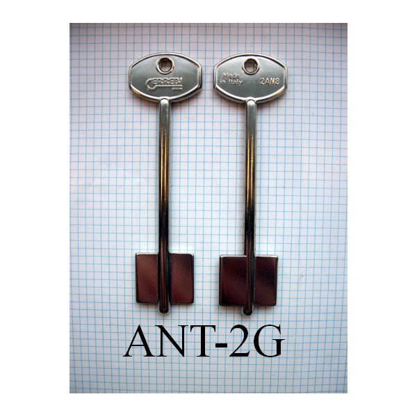 ANT-2G JMA – Blue Dog Keys
