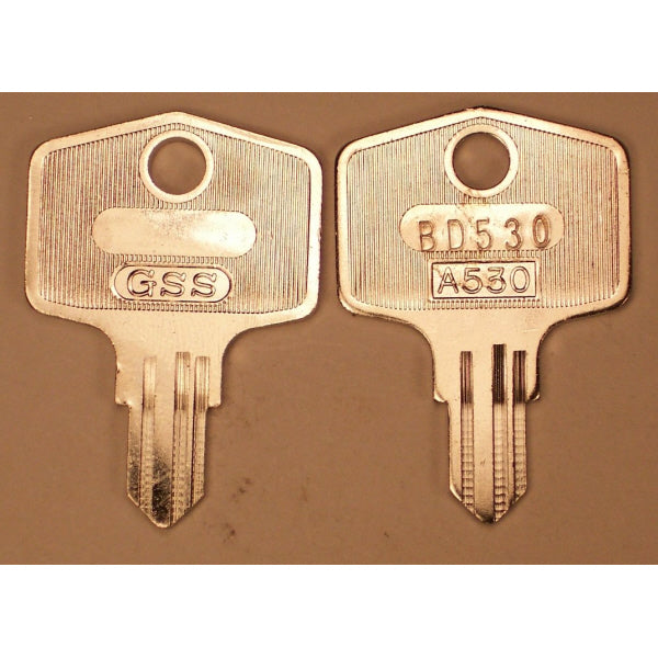 BD530 – Blue Dog Keys