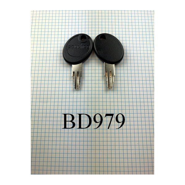 BD979 – Blue Dog Keys